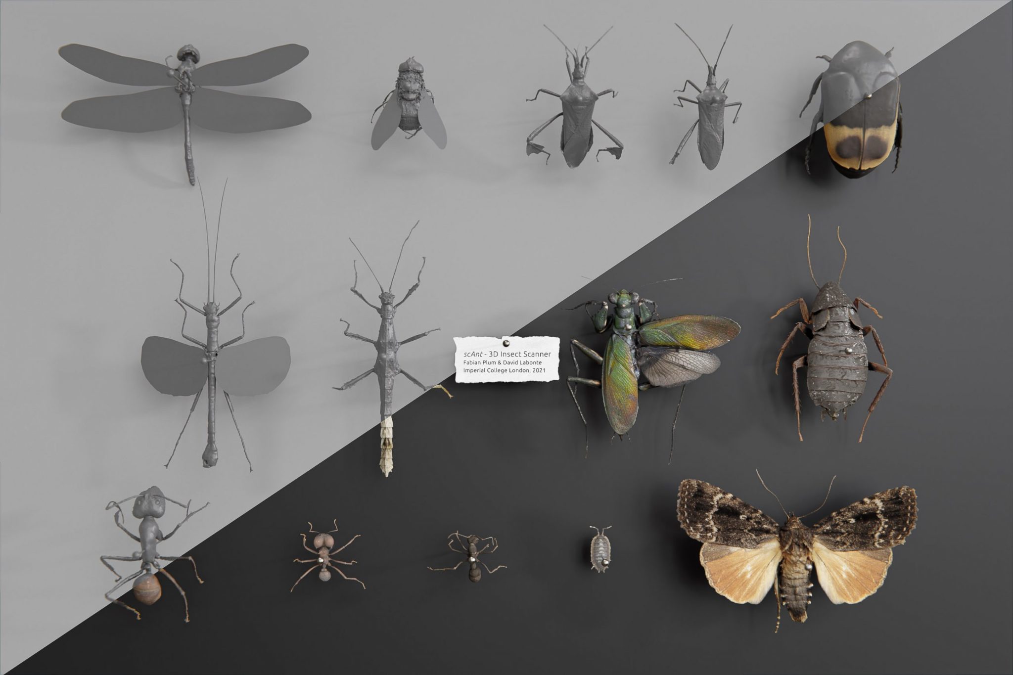 Open Science – Evolutionary Biomechanics Group